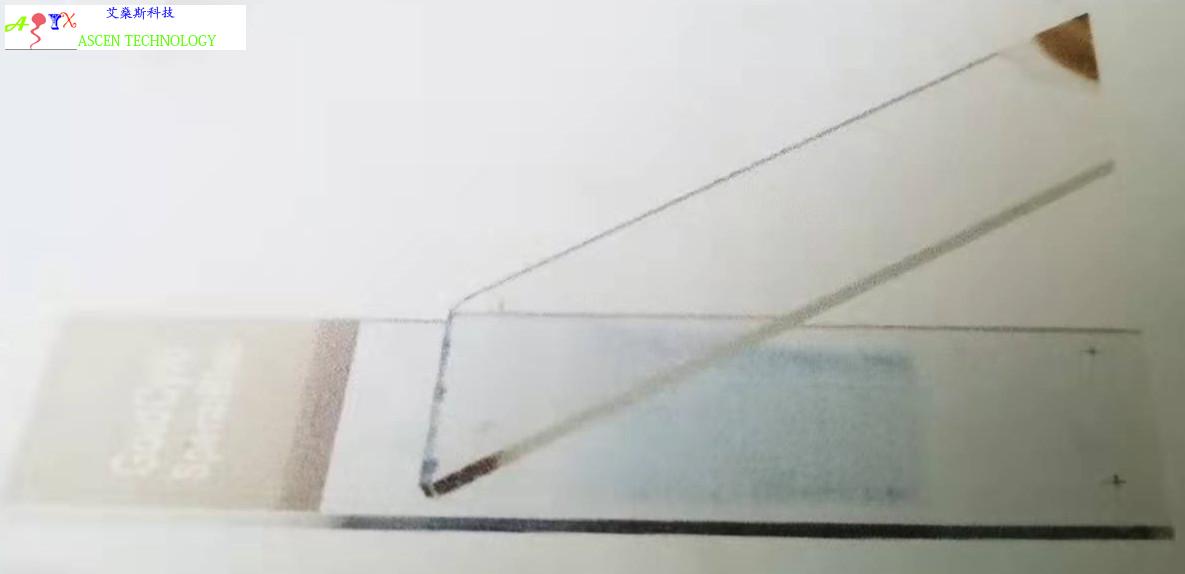 Pre-Stained Morphology Slides For Sperm Morphology Analysis